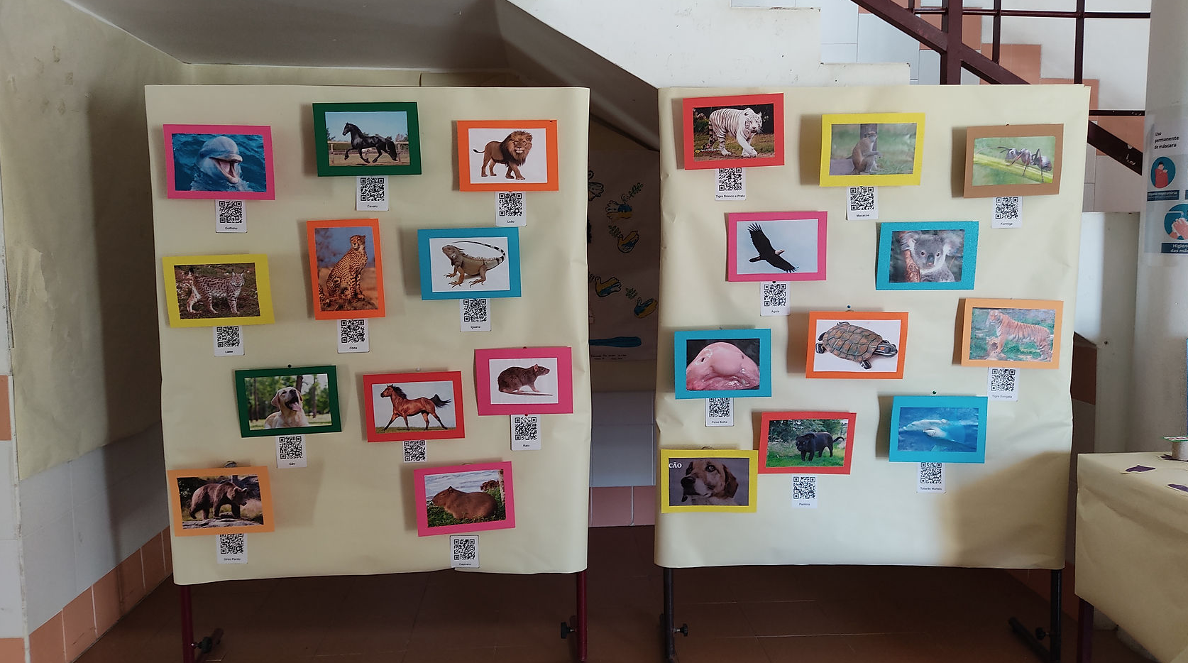 Biodiversity in our School, Region and Planet - Erasmus+ Project KA3 ...