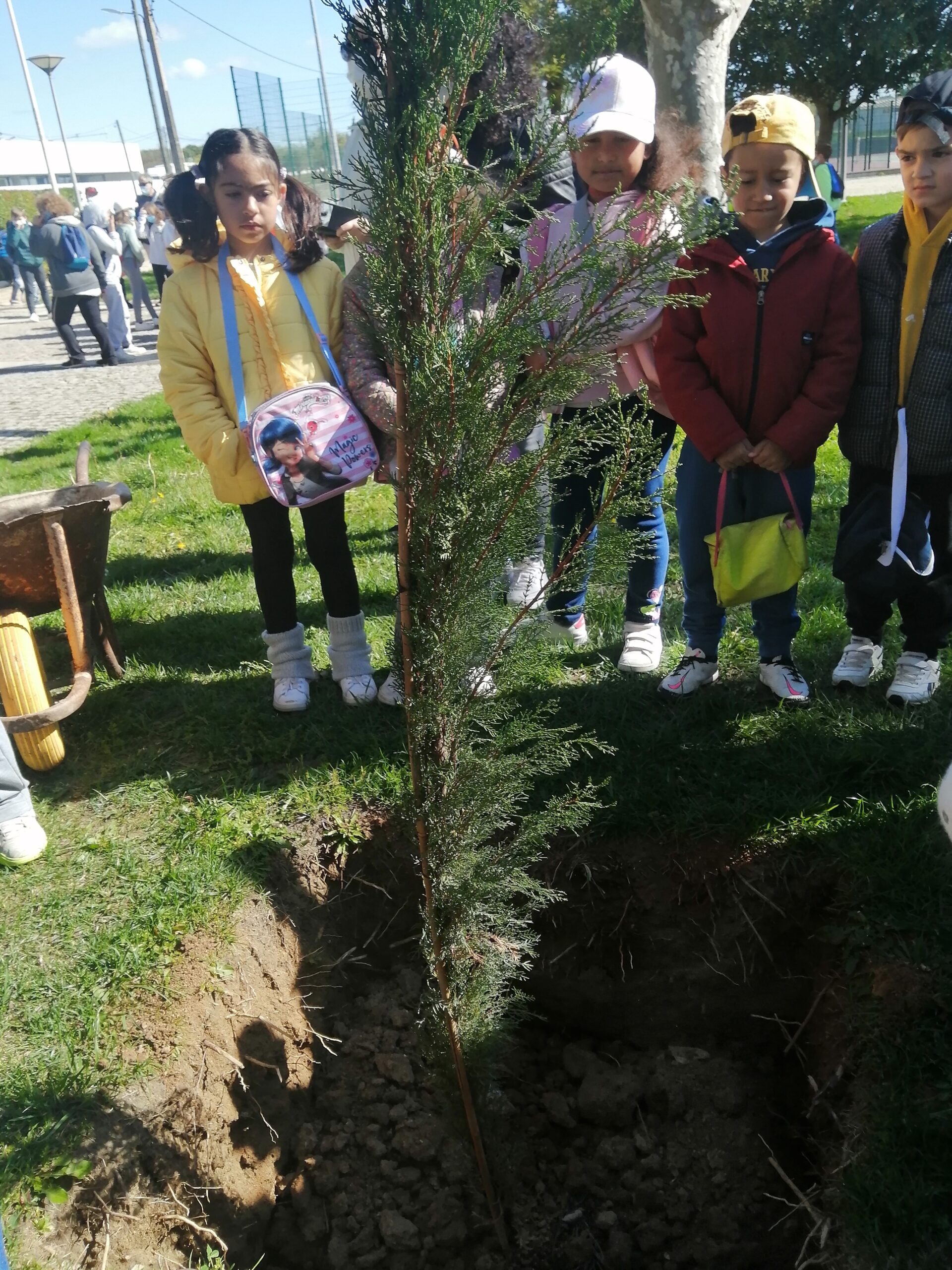 Commemoration of Earth Day: Tree planting on the occasion of tree day ...