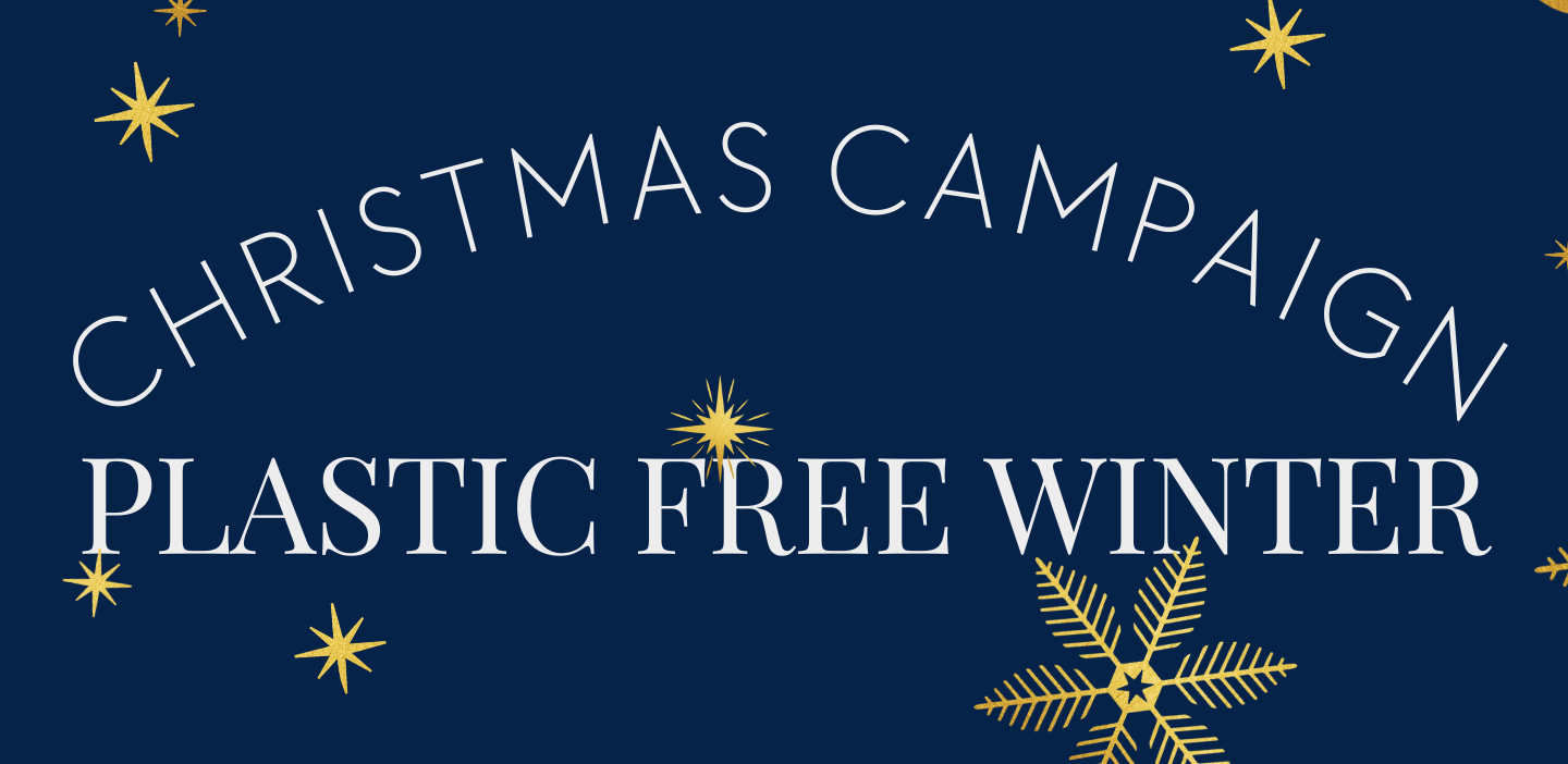 Celebrate a plastic-free Winter- Christmas campaign - Erasmus+ Project ...